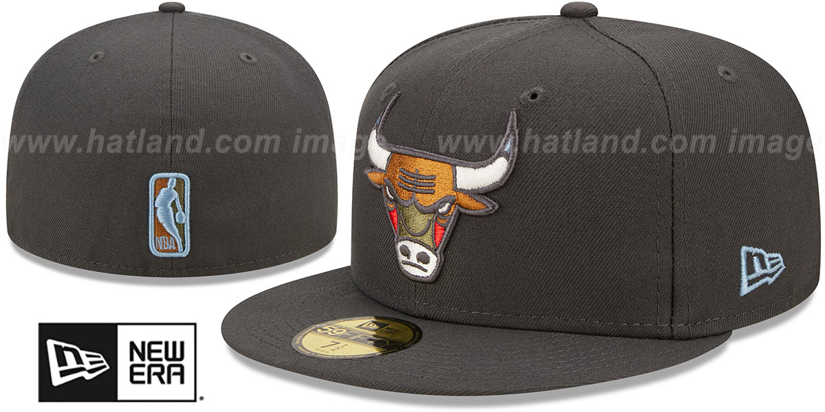 Chicago Bulls COLOR PACK MULTI Charcoal Fitted Hat