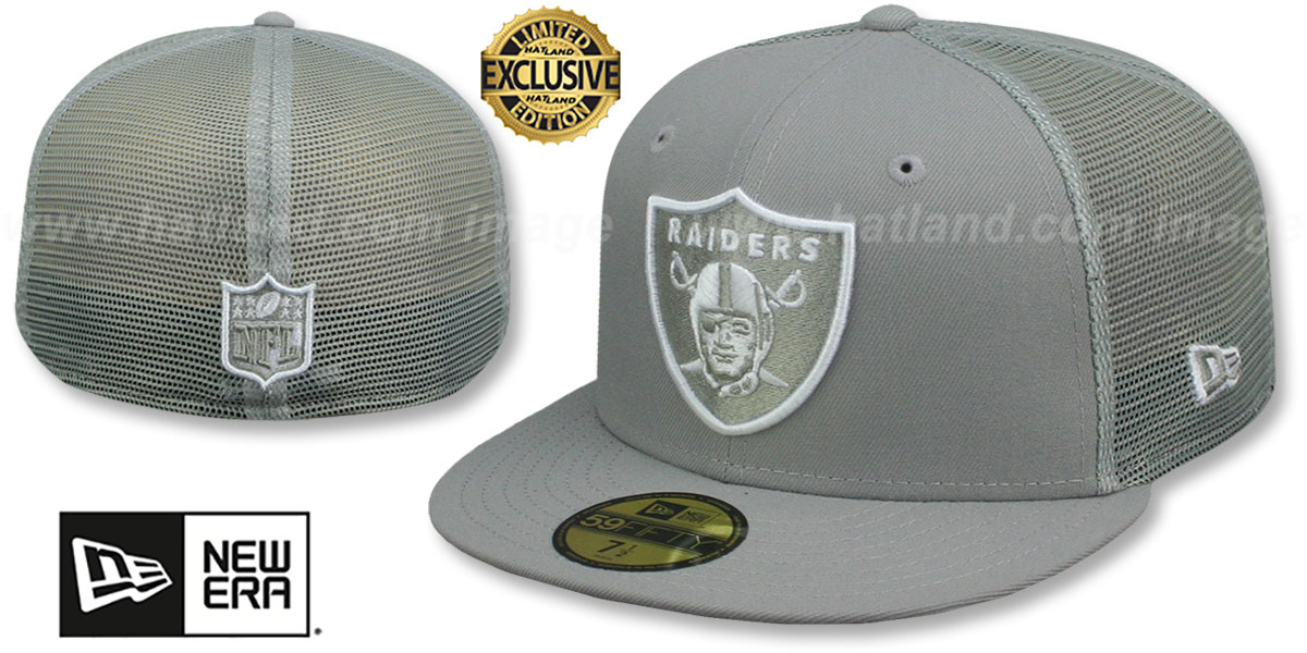 Las Vegas Raiders TEAM-BASIC TRUCKER Grey-White Fitted Hat