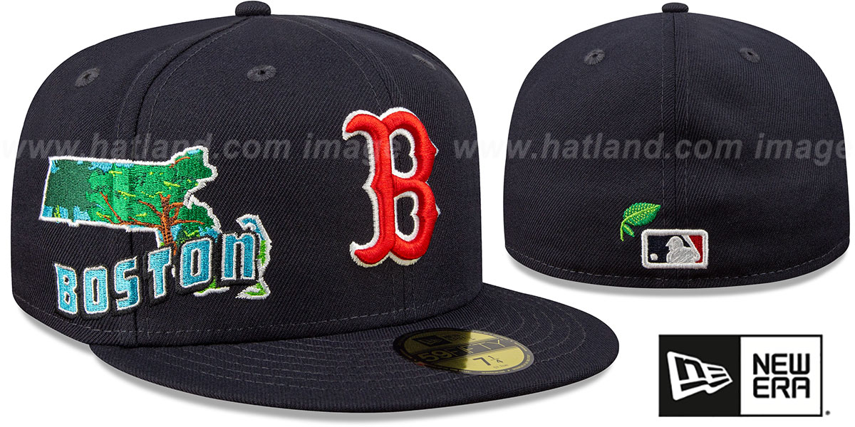 Boston Red Sox STATEVIEW Navy Fitted Hat by New Era