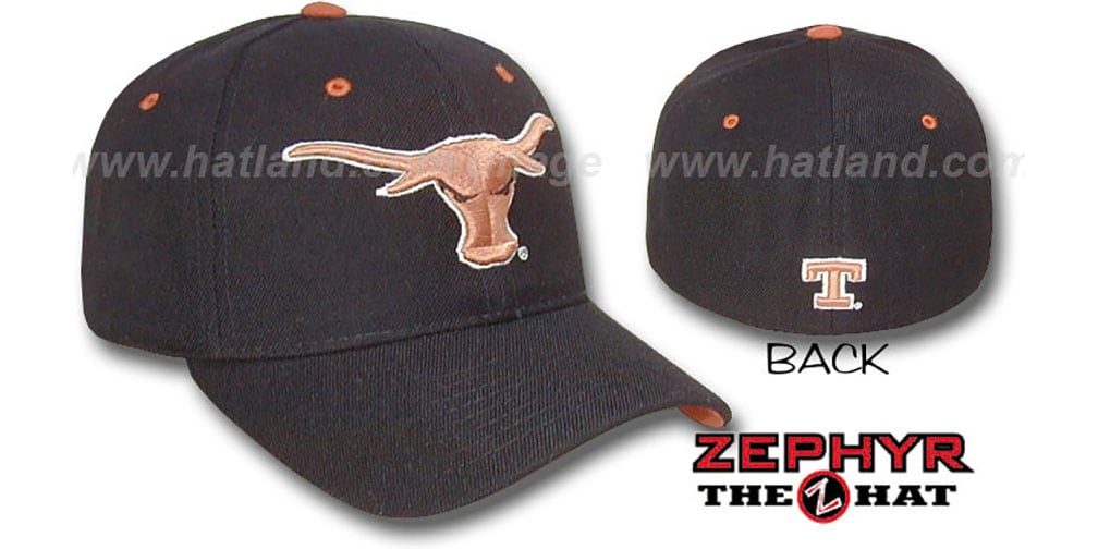 Texas DHS Black Fitted Hat by Zephyr