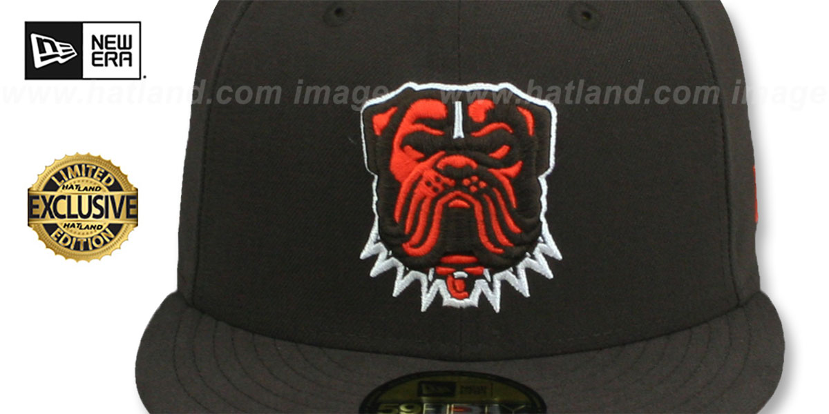 Cleveland Browns DAWG TEAM-BASIC Brown Fitted Hat by New Era