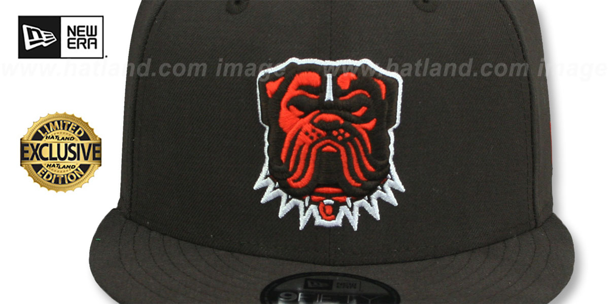 Cleveland Browns DAWG TEAM-BASIC SNAPBACK Brown Hat