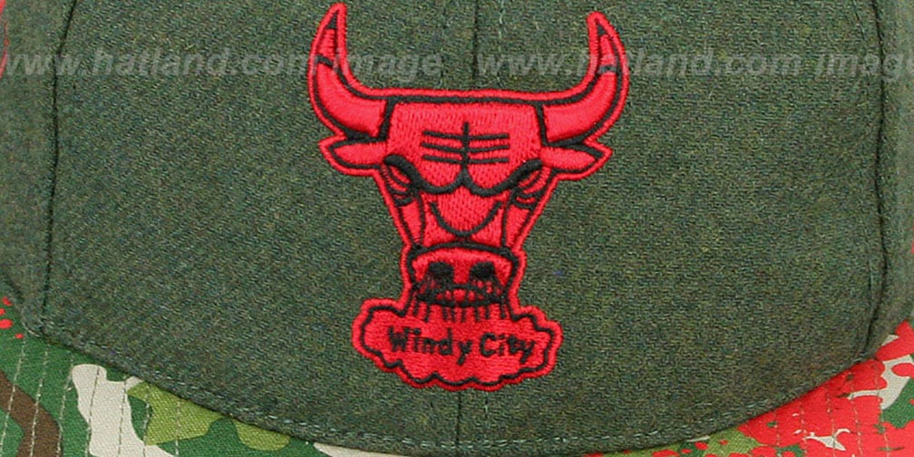 Chicago Bulls COLONEL POTTER Hat by Twins 47 Brand
