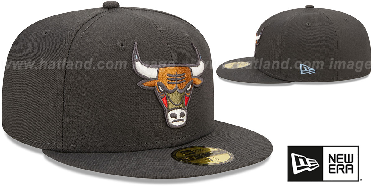 Chicago Bulls COLOR PACK MULTI Charcoal Fitted Hat