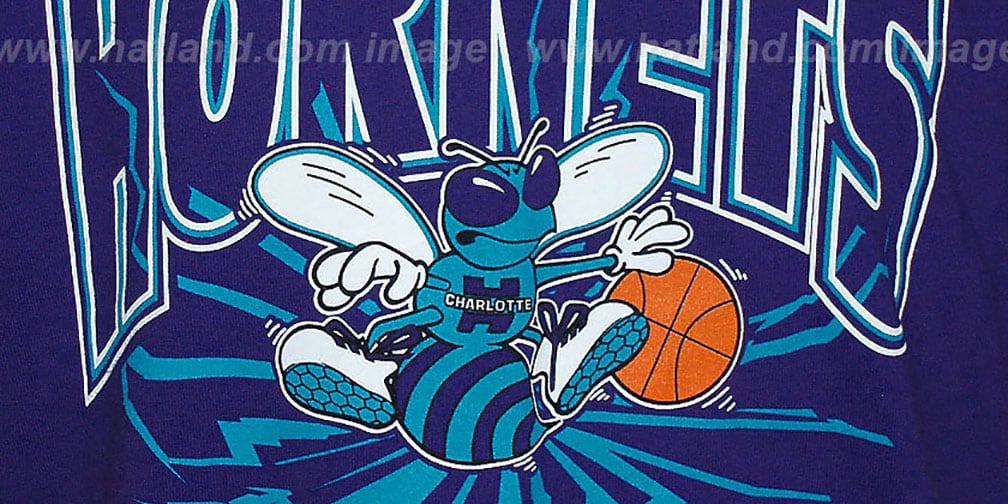 Charlotte Hornets EARTHQUAKE Purple T-Shirt
