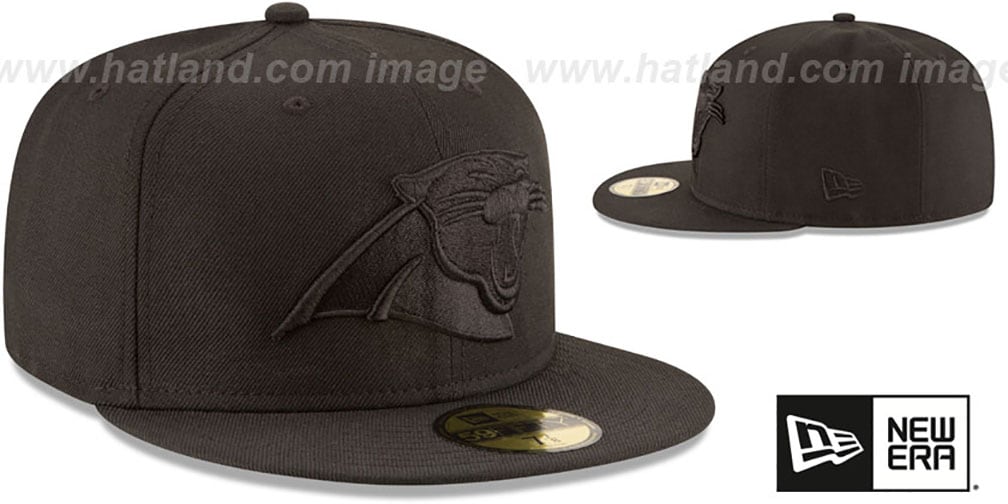 Carolina Panthers NFL TEAM-BASIC BLACKOUT Fitted Hat