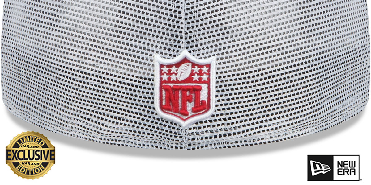 Atlanta Falcons TEAM-BASIC TRUCKER White Fitted Hat