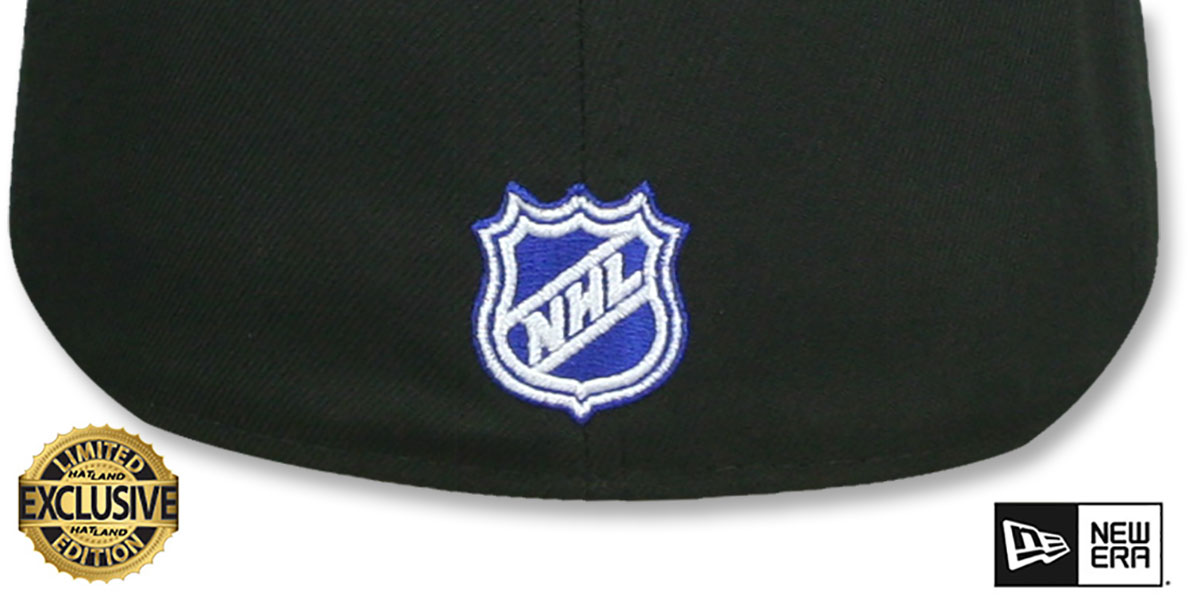 Toronto Maple Leafs NHL TEAM-BASIC Black Fitted Hat