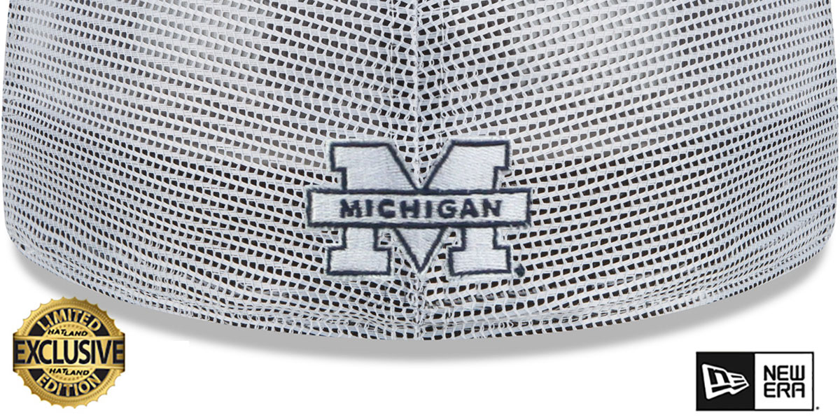 Michigan TEAM-BASIC TRUCKER White Fitted Hat by New Era