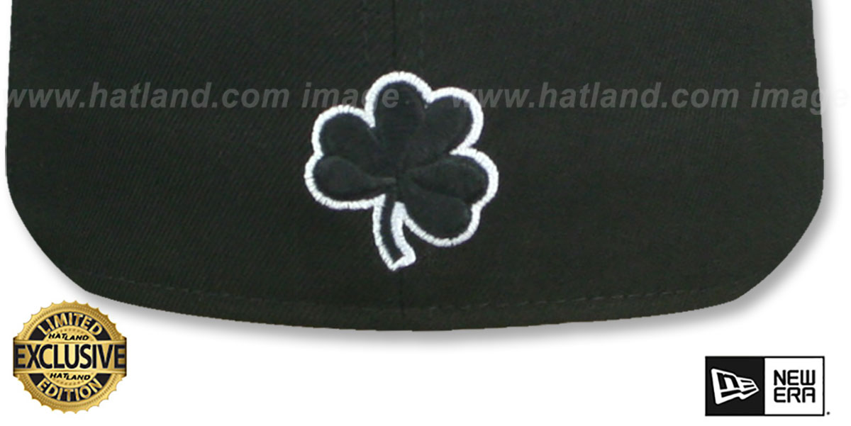 Notre Dame NCAA TEAM-BASIC Black-White Fitted Hat by New Era
