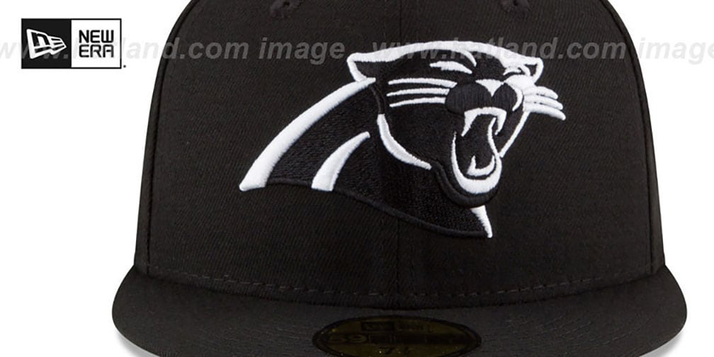 Carolina Panthers NFL TEAM-BASIC Black-White Fitted Hat