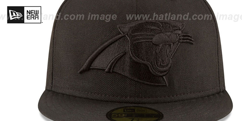 Carolina Panthers NFL TEAM-BASIC BLACKOUT Fitted Hat
