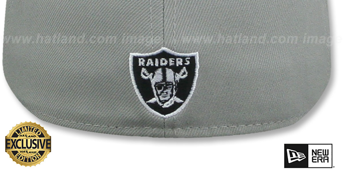 Las Vegas Raiders NFL TEAM-SCRIPT Light Grey Fitted Hat