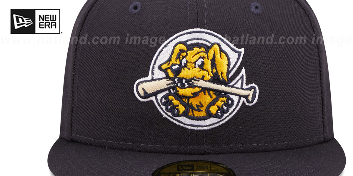 Charleston RiverDogs MILB ONFIELD HOME Navy Fitted Hat