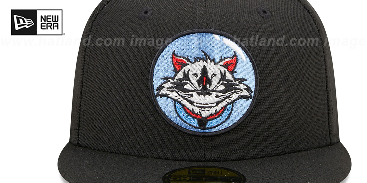 Rocket City Trash Pandas MILB MARVEL DEFENDERS Black Fitted Hat