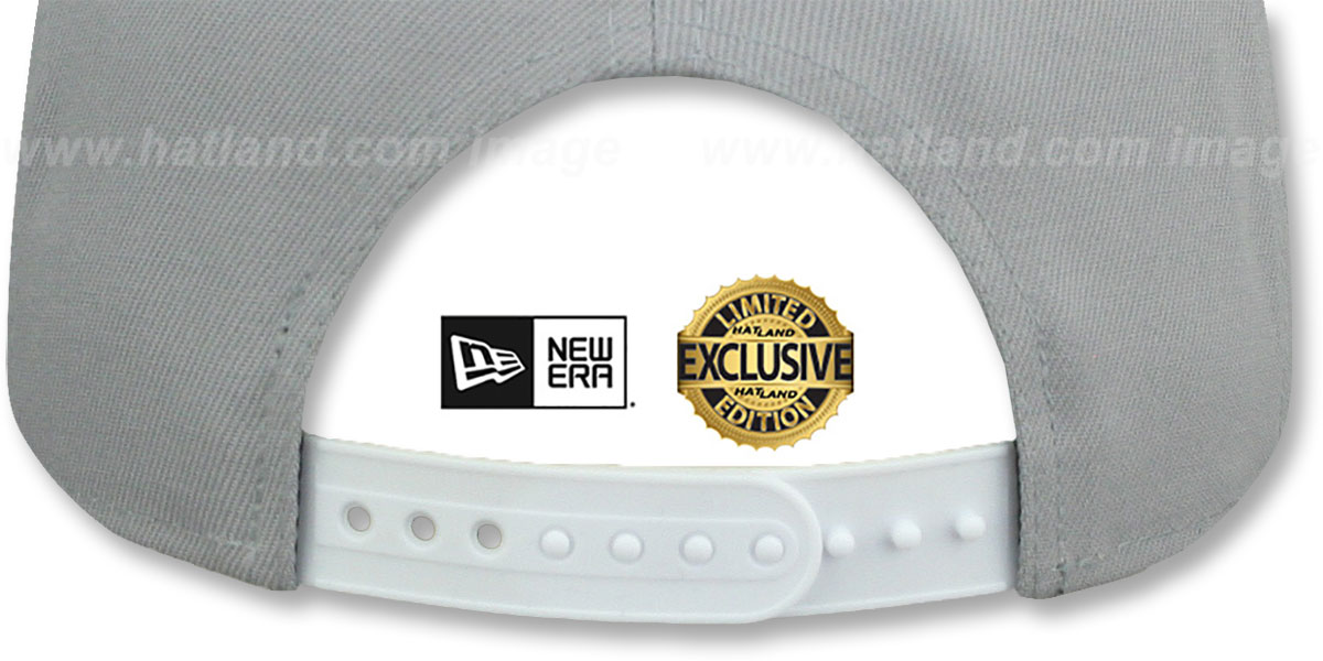 New York Yankees TEAM-BASIC SNAPBACK Light Grey-White Hat