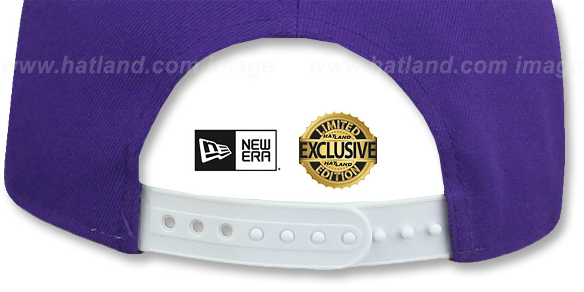 New York Yankees TEAM-BASIC SNAPBACK Purple-White Hat