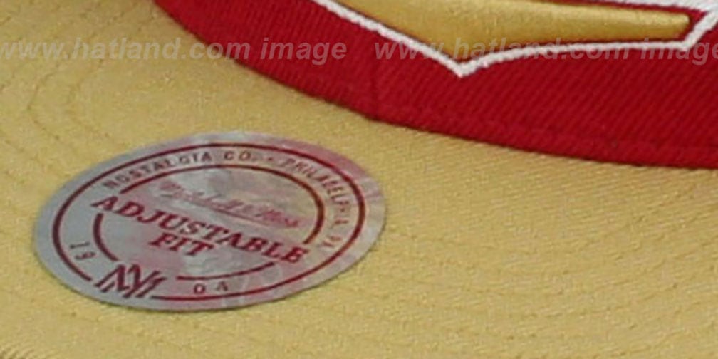 San Francisco 49ers TAILSWEEP SNAPBACK Red-Gold Hat