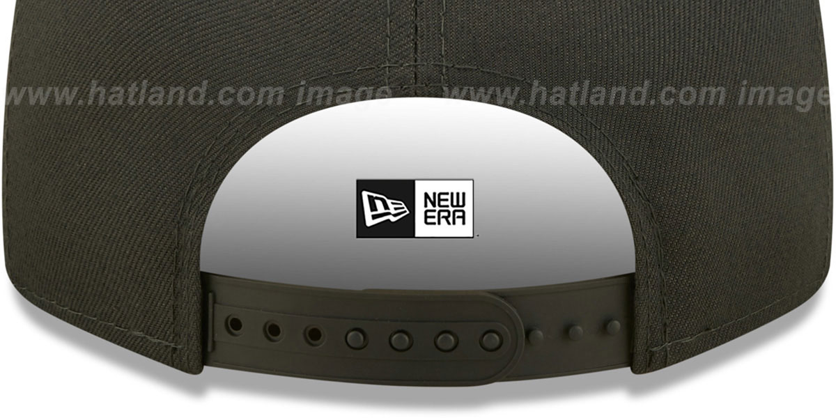 Dallas Cowboys 2T COLOR PACK SNAPBACK Charcoal-Olive Hat