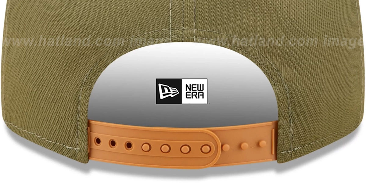 Dallas Cowboys 2T COLOR PACK SNAPBACK Olive-Tan Hat