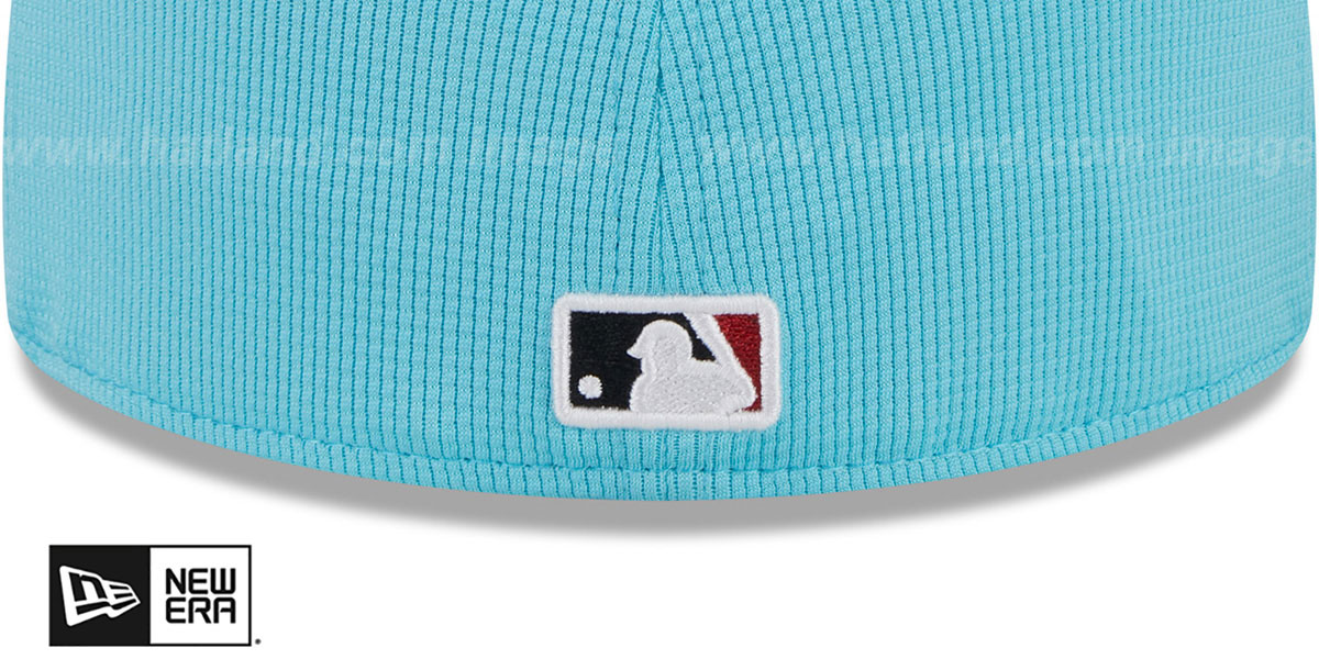 Arizona Diamondbacks 2025 SPRING TRAINING Fitted Hat