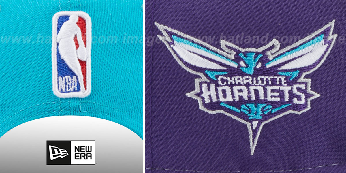 Charlotte Hornets COLOR BLOCK BACK HALF SNAPBACK Hat