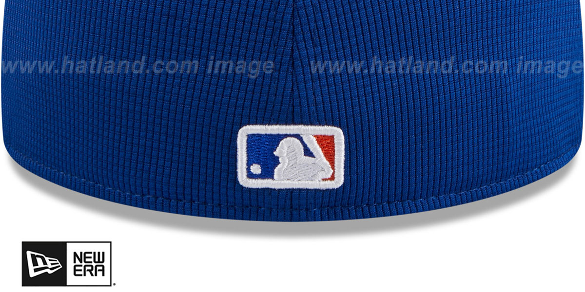 New York Mets 2024-25 BATTING PRACTICE Fitted Hat by New Era