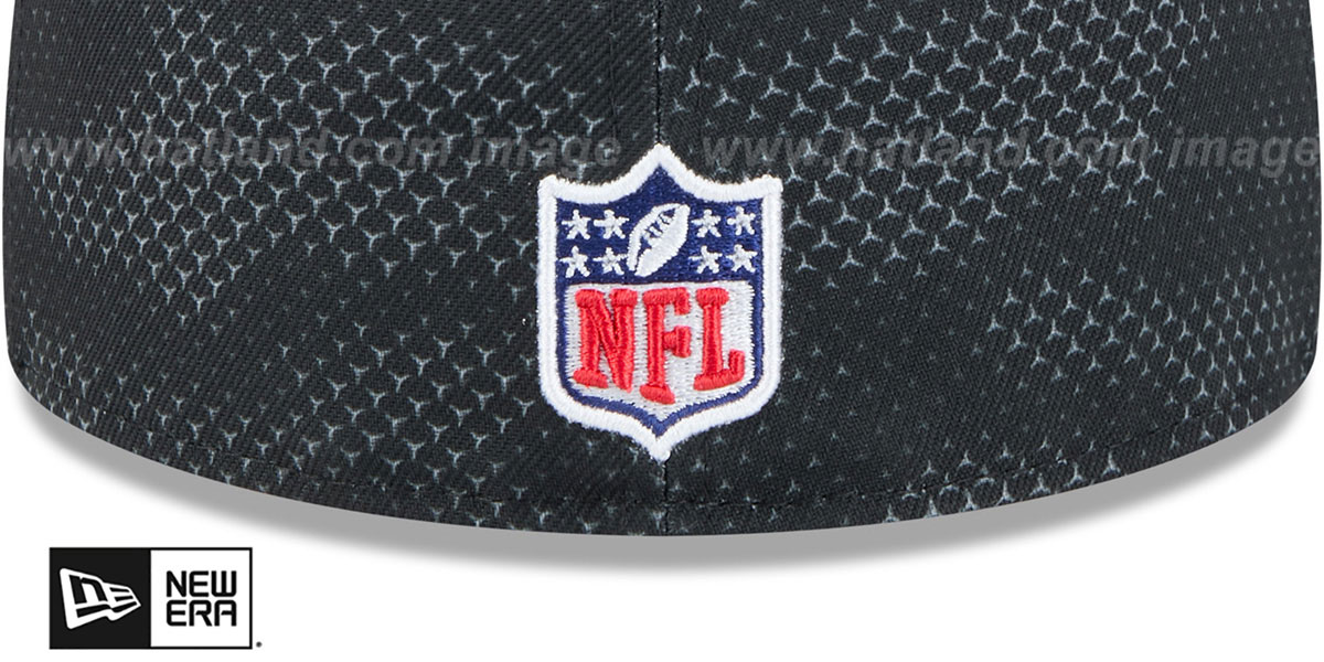 NFL Shield 2024 NFL SIDELINE Black Fitted Hat by New Era