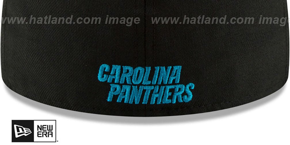 Carolina Panthers NFL TEAM-BASIC Black Fitted Hat by New Era