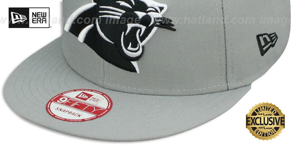 Carolina Panthers NFL TEAM-BASIC SNAPBACK Grey-Black Hat