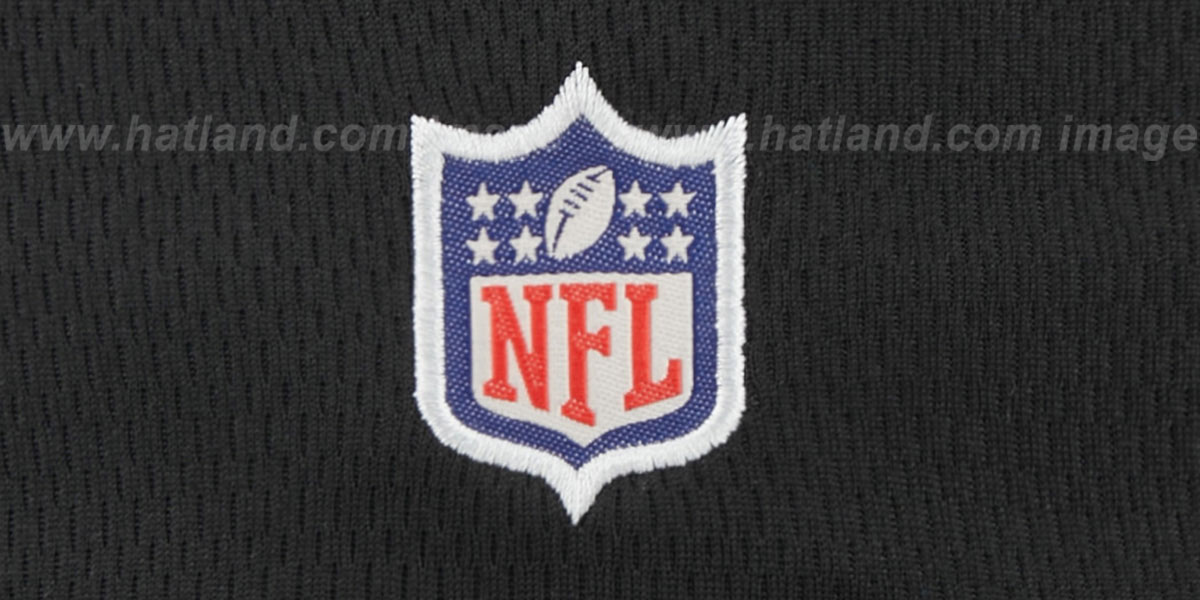 Baltimore Ravens 2023 NFL TRAINING CAMP BUCKET Black Hat