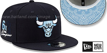 NBA Snapback Hats at hatland.com
