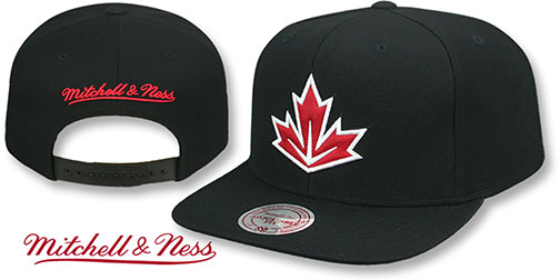 Mitchell & Ness Hats at hatland.com