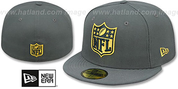 NFL Shield Logo Hats at hatland.com