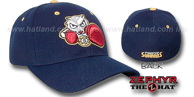 Bradford DHS-Xline Navy Fitted Hat by Zephyr