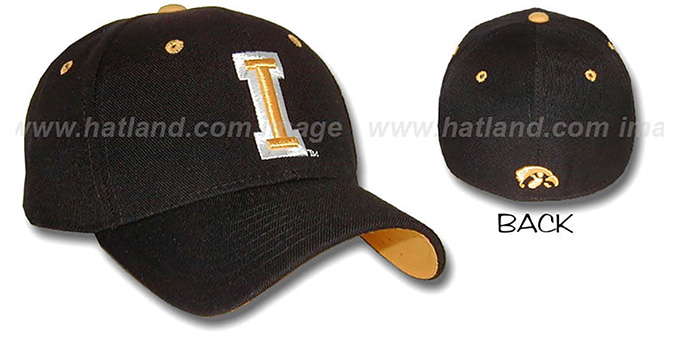 Iowa DH Black Fitted Hat by Zephyr