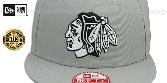 Chicago Blackhawks TEAM-BASIC SNAPBACK Grey-Black Hat