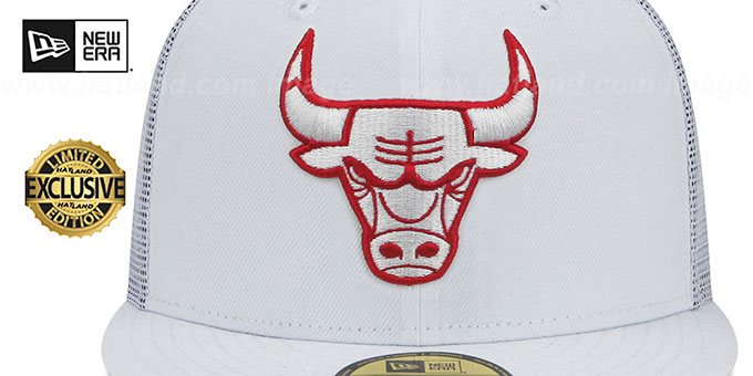 Chicago Bulls TEAM-BASIC TRUCKER White Fitted Hat by New Era
