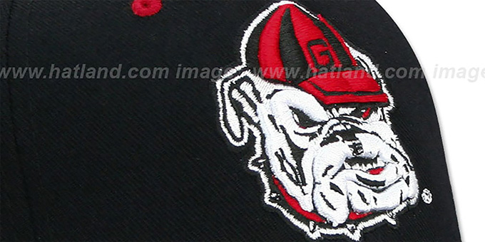 Georgia DHS Black Fitted Hat by Zephyr