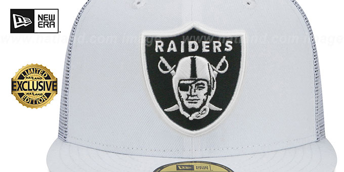 Las Vegas Raiders TEAM-BASIC TRUCKER White Fitted Hat
