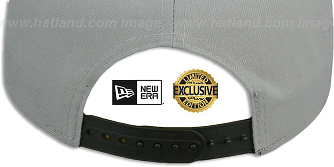 Arizona Diamondbacks TEAM-BASIC SNAPBACK Grey-Black Hat