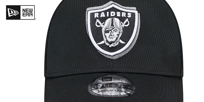 Las Vegas Raiders 2024 NFL DRAFT FLEX Hat by New Era