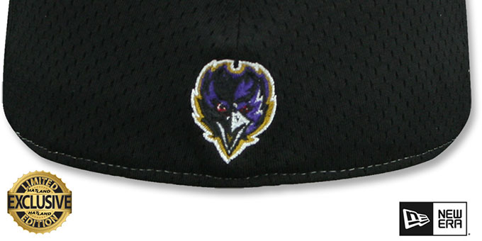 Baltimore Ravens WORLD CLASS VIZA MESH-BACK Purple-Black Fitted H