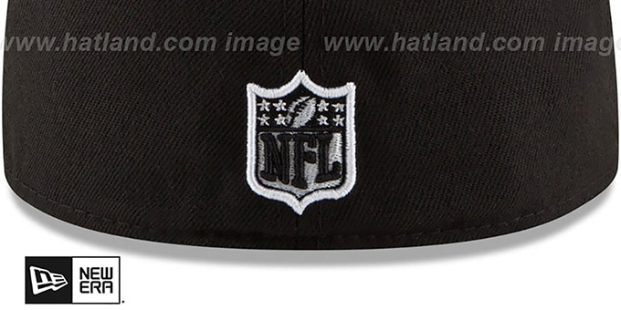 Carolina Panthers NFL TEAM-BASIC Black-White Fitted Hat